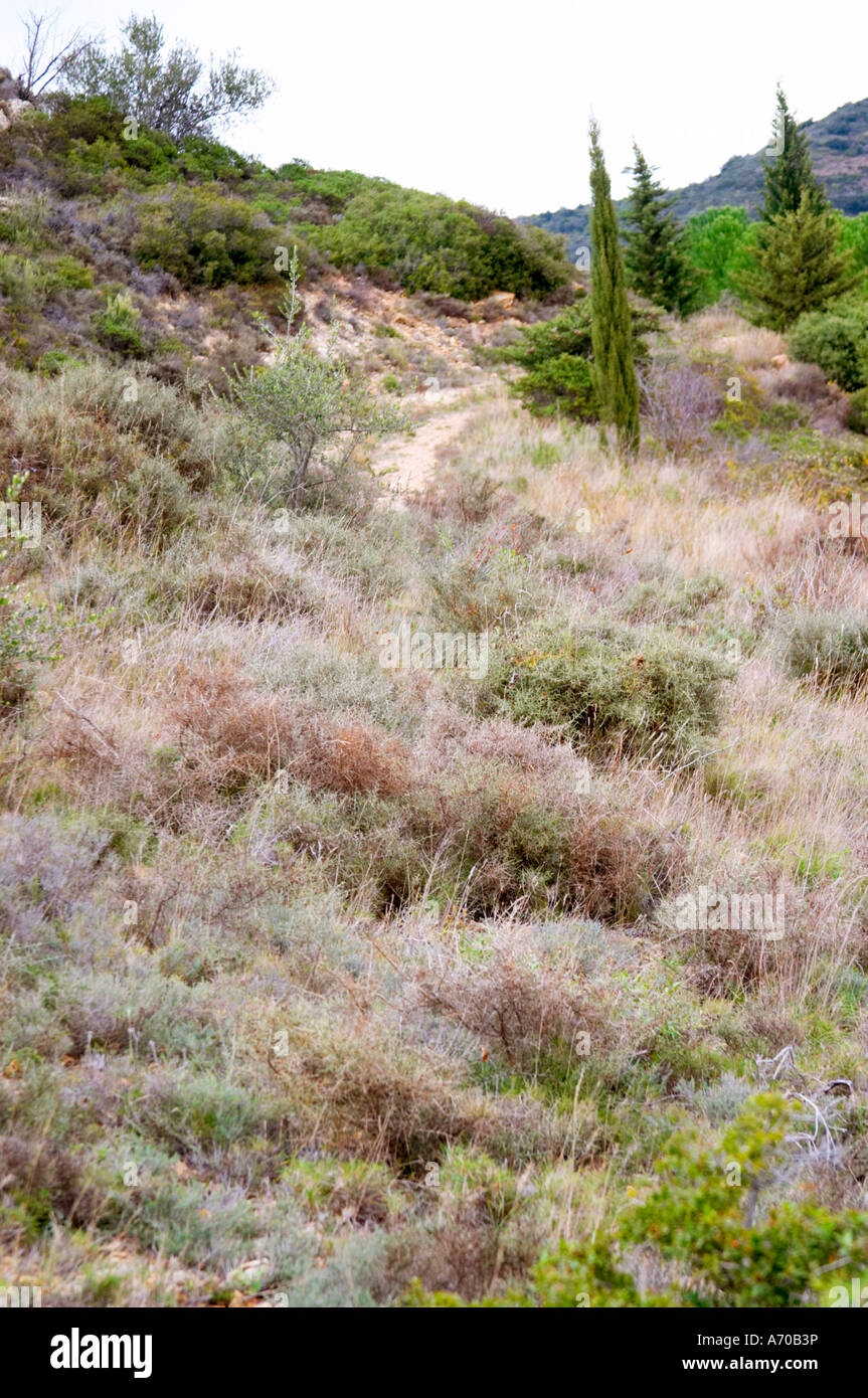 Mont Tauch Cave Cooperative co-operative In Tuchan. Fitou. Languedoc ...