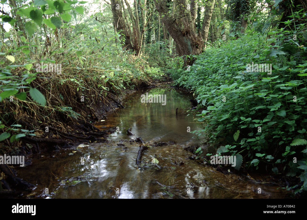 Flitwick hi-res stock photography and images - Alamy