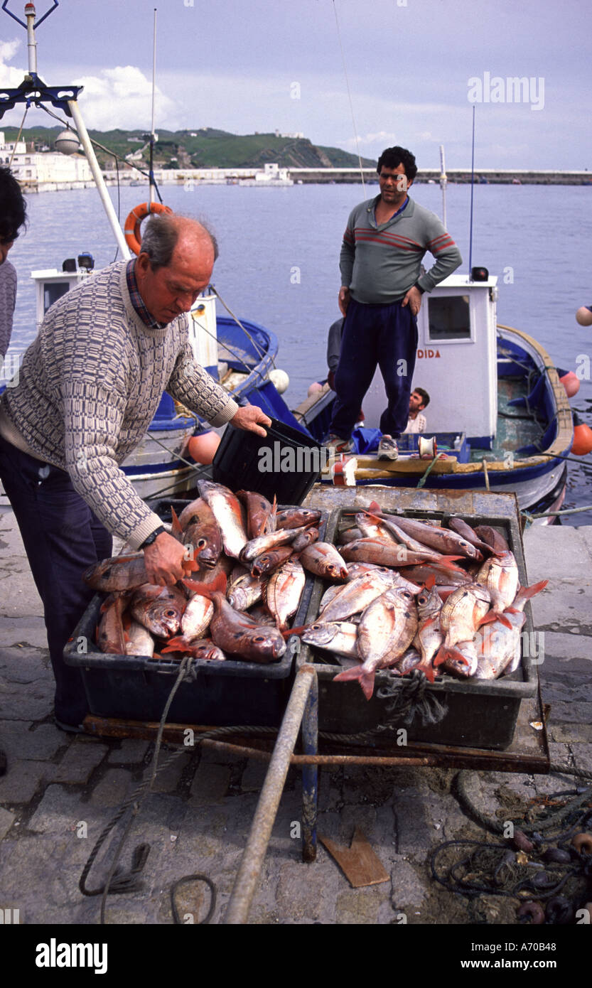 Trawler catch at quayside Tarifa Spain Stock Photo - Alamy