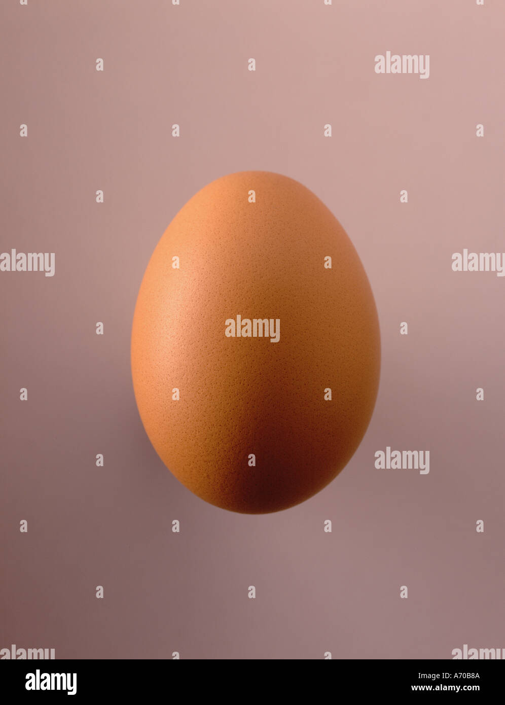 close up image of egg looking at the texture shape and colour of the ...