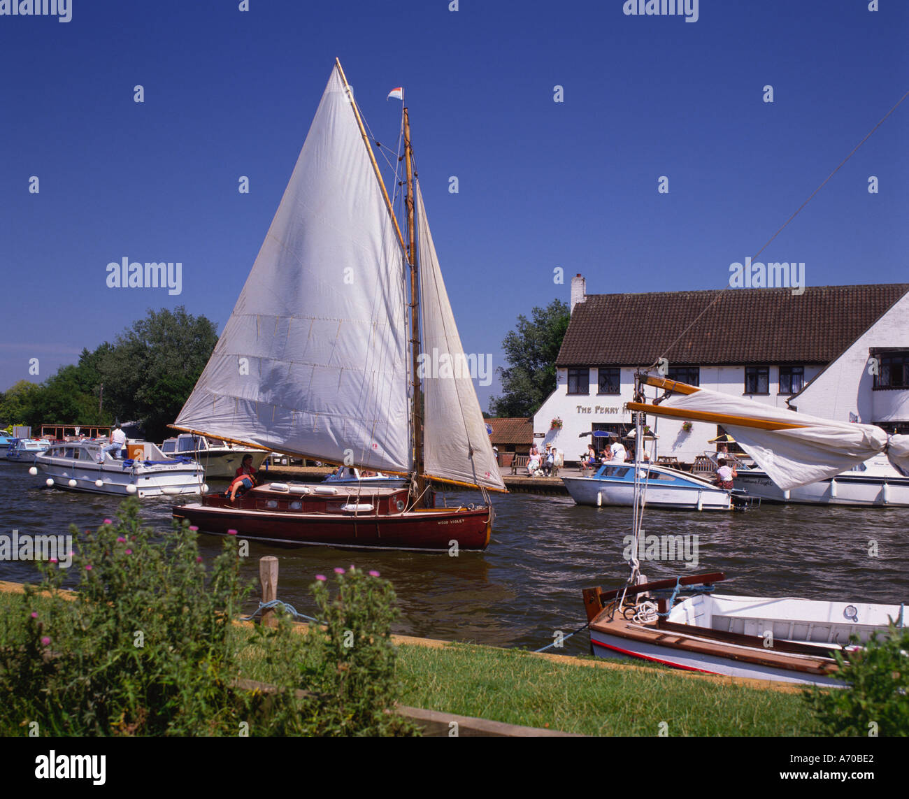Horning hi-res stock photography and images - Alamy