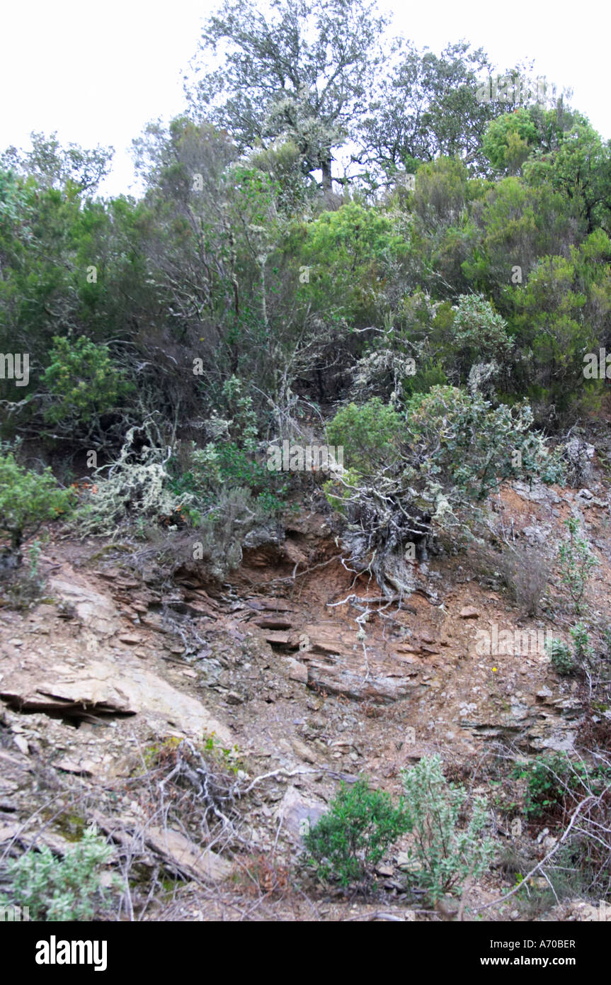 Chateau des Erles. In Villeneuve-les-Corbieres. Fitou. Languedoc ...