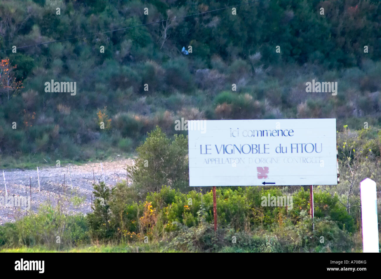 Here begins the vineyards and vignoble of Fitou. Fitou. Languedoc ...