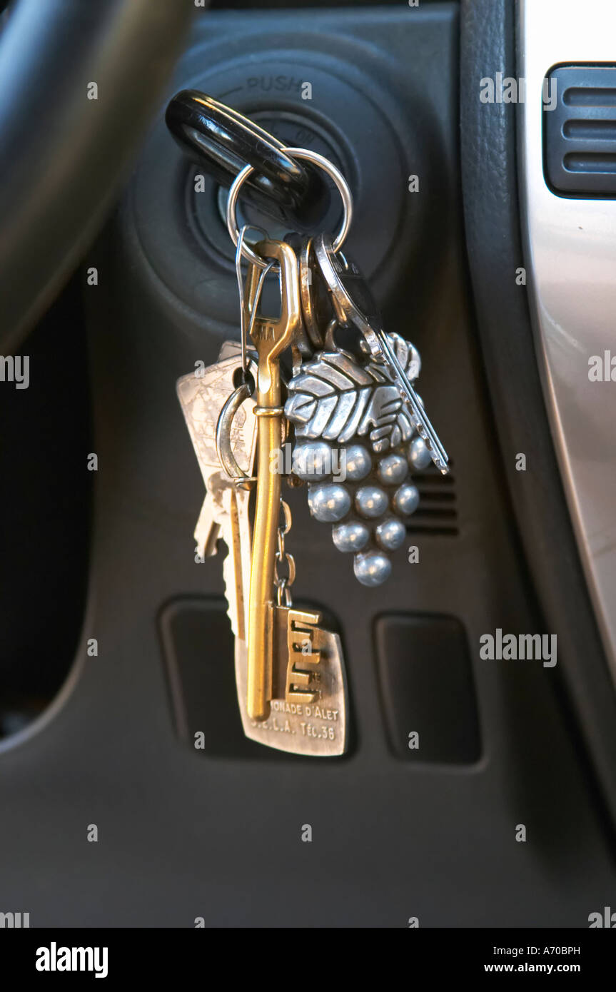 Car keys on a key ring with a grape bunch with leaf as decoration ...