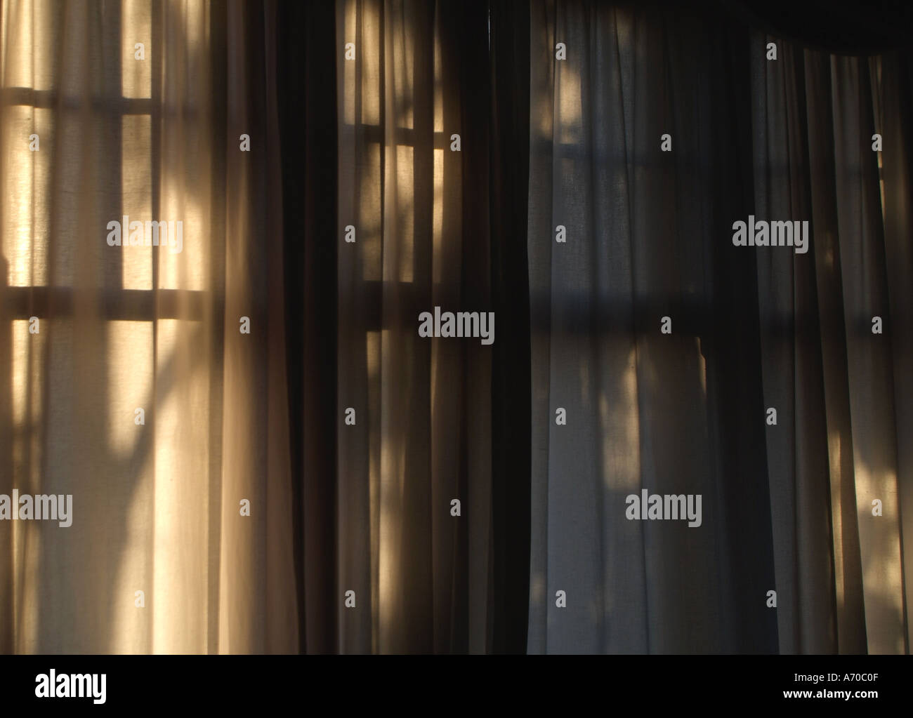 Curtains shot in twilight with shadows of trees and window frame Stock ...