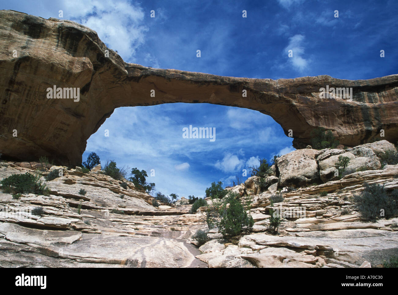 Natural Bridges National Monument Owachomo Bridge a span of 180 feet in ...