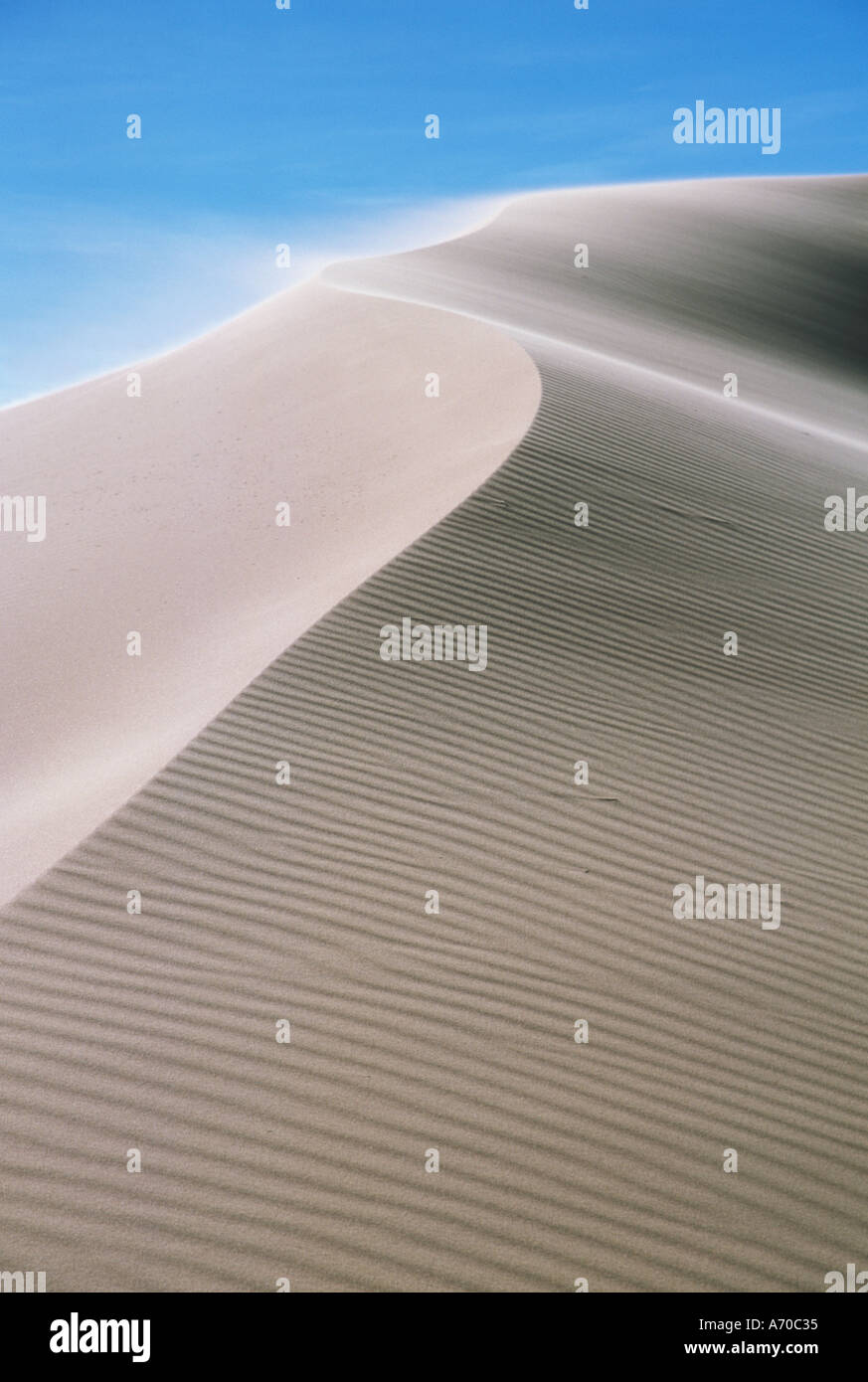 Wind Blown Sand on a Dune Stock Photo - Alamy