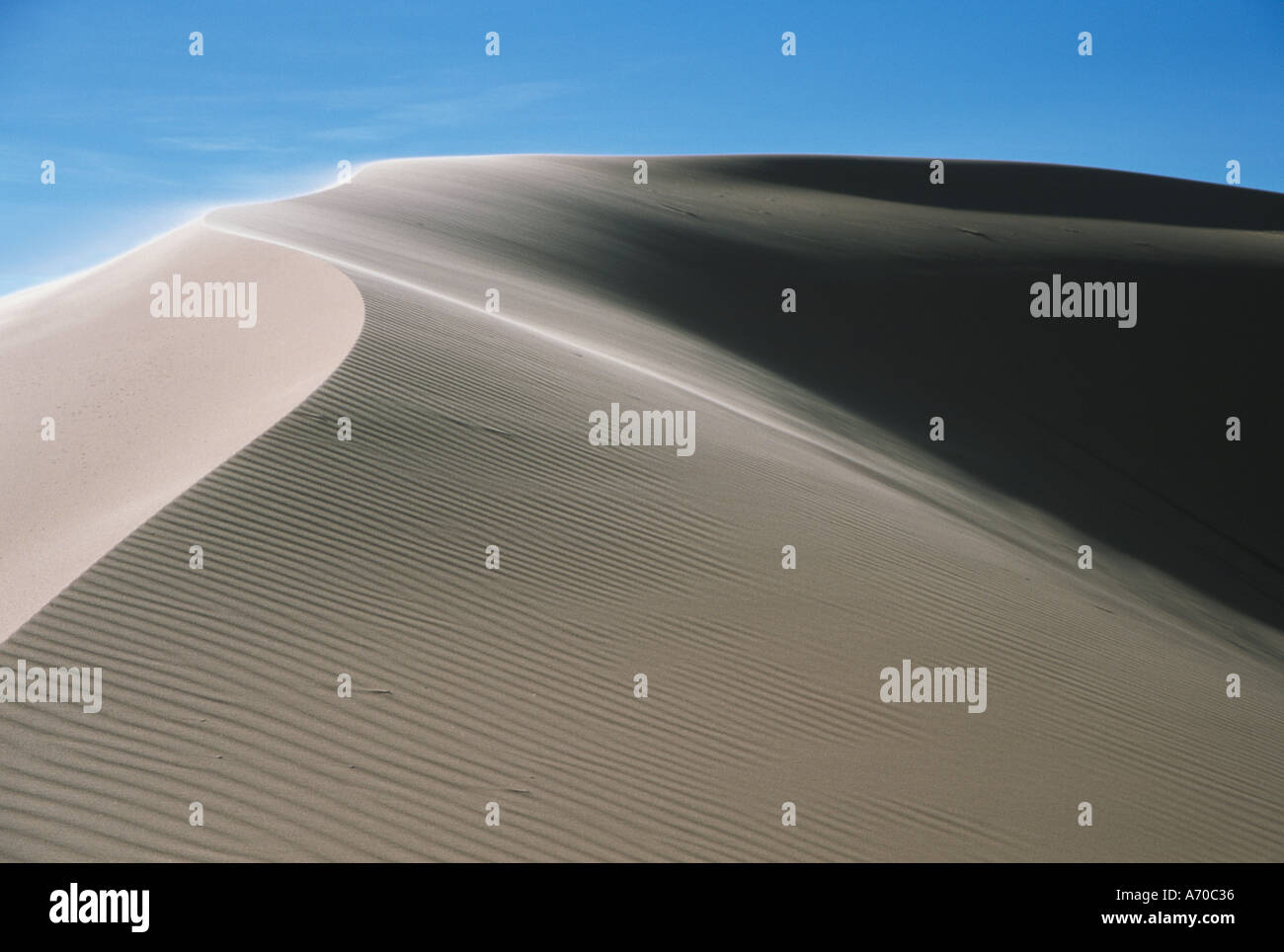 Wind Blown Sand on a Dune Stock Photo - Alamy