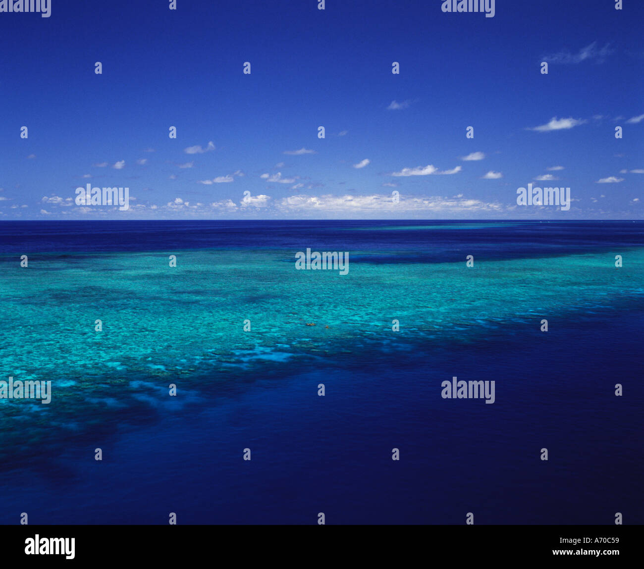 "Great Barrier Reef" Queensland Australia Stock Photo - Alamy