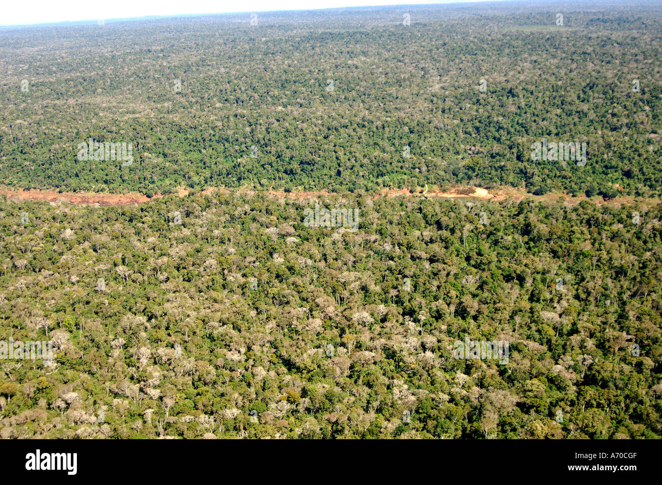 Brazil Rainforest High Resolution Stock Photography and Images - Alamy