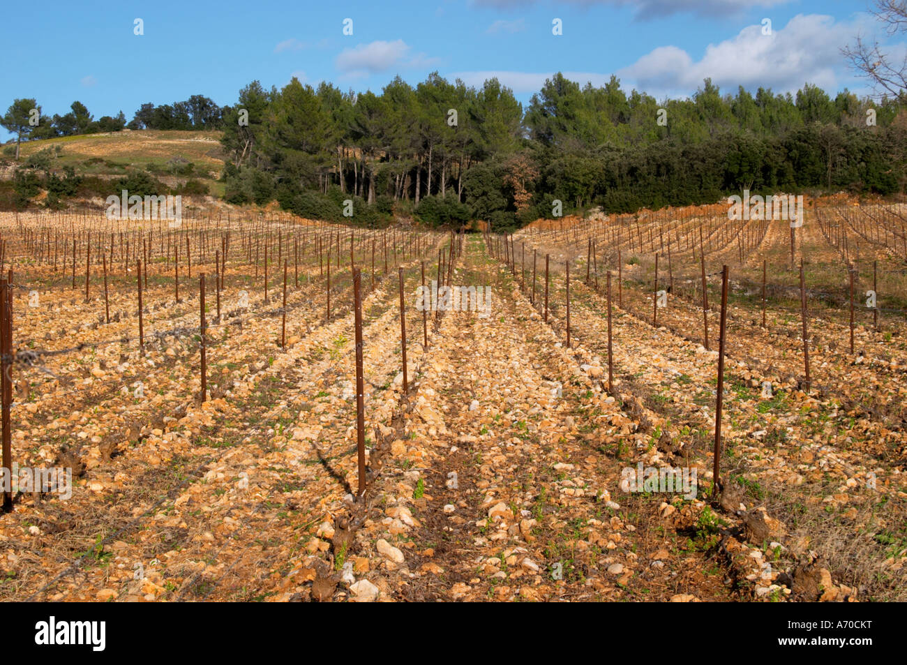 Puechabon hi-res stock photography and images - Alamy