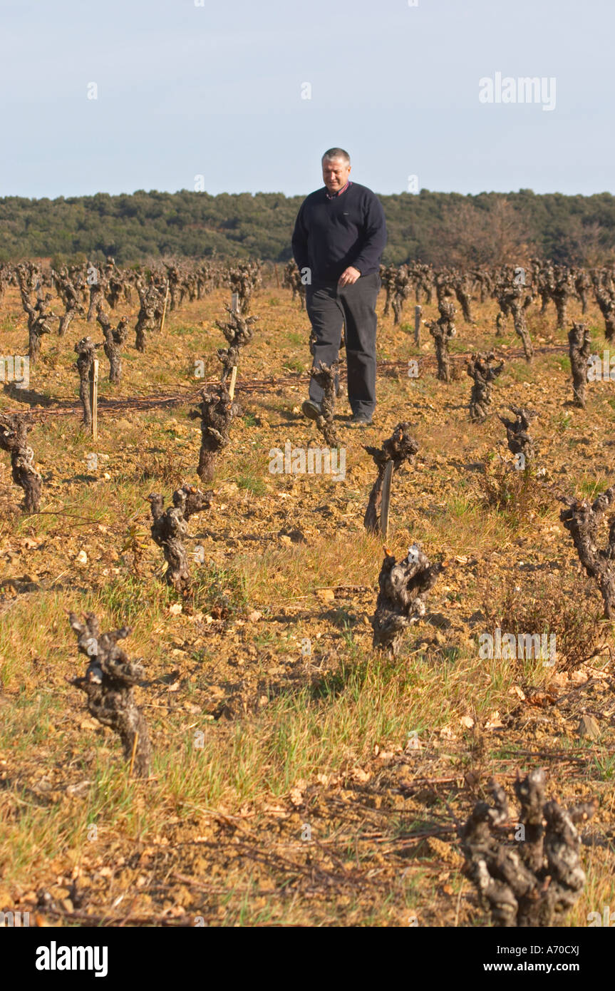 Thierry Rodriguez Domaine Mas Gabinele. Faugeres. Languedoc. Vines ...