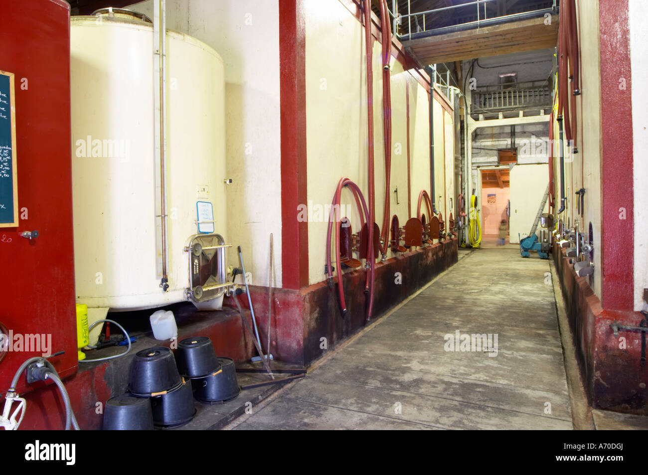 Domaine Le Nouveau Monde. Terrasses de Beziers. Languedoc. Painted ...