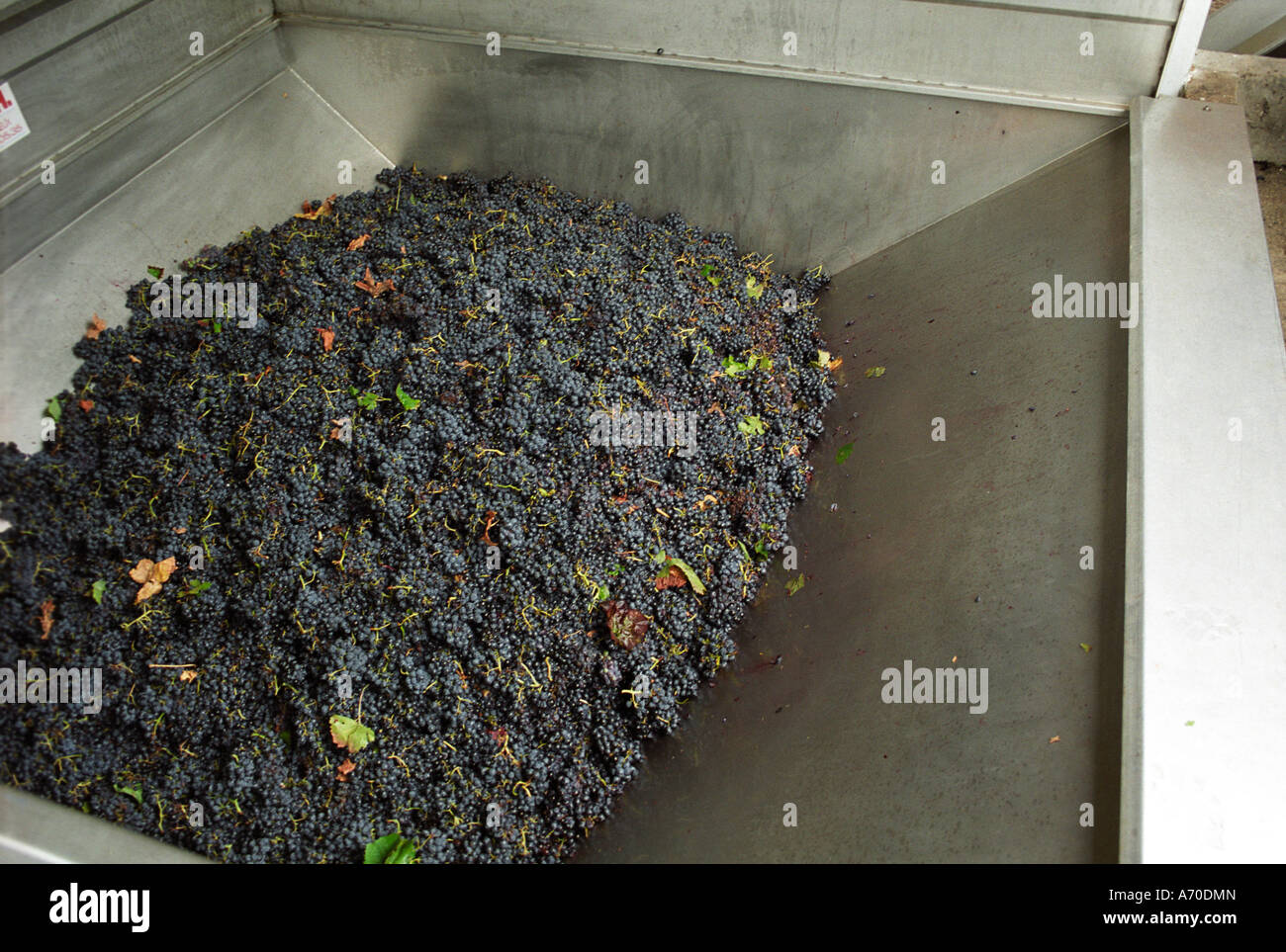 Reception hopper hi-res stock photography and images - Alamy