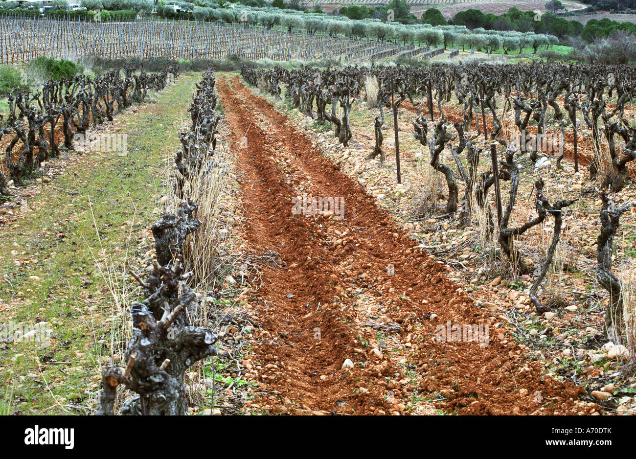 Cordon De Royat High Resolution Stock Photography and Images - Alamy