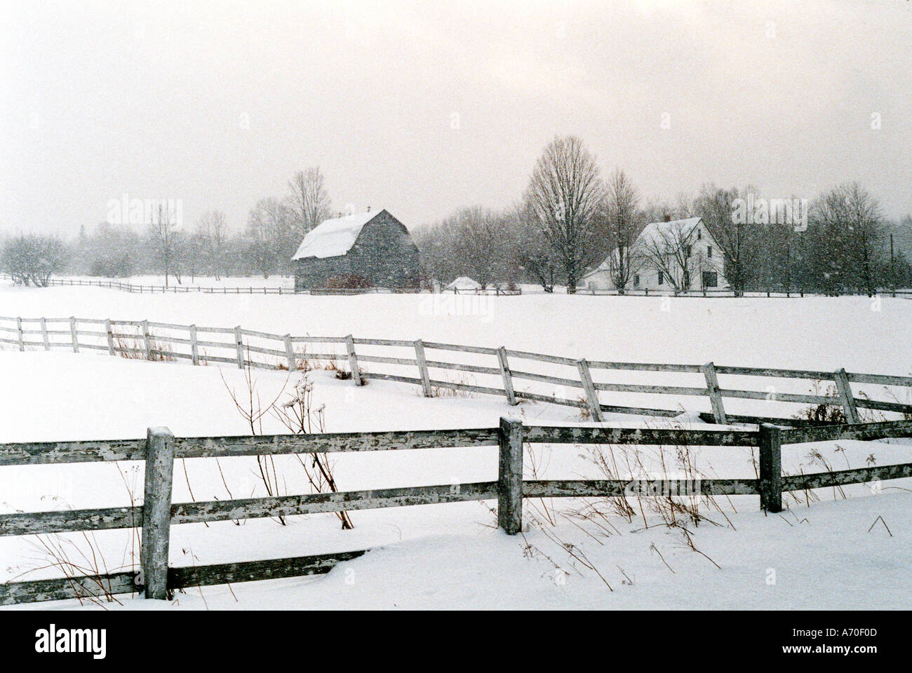 old barn and farmhouse in snowstorm Stock Photo - Alamy