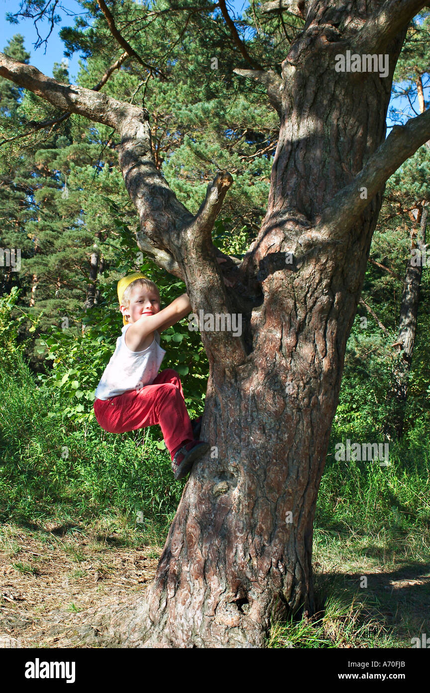 Six year old boy trying to climb up a tree Perlacher Forest Munich ...
