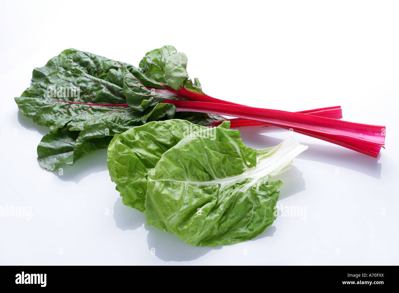 Chard and red chard Stock Photo - Alamy