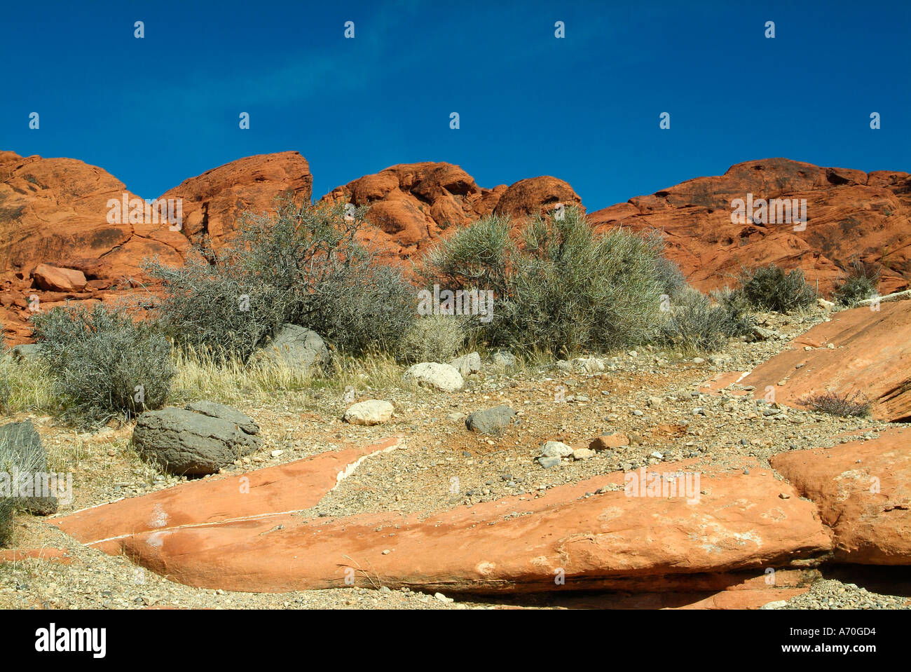 Red Rock Canyon Nevada Stock Photo - Alamy