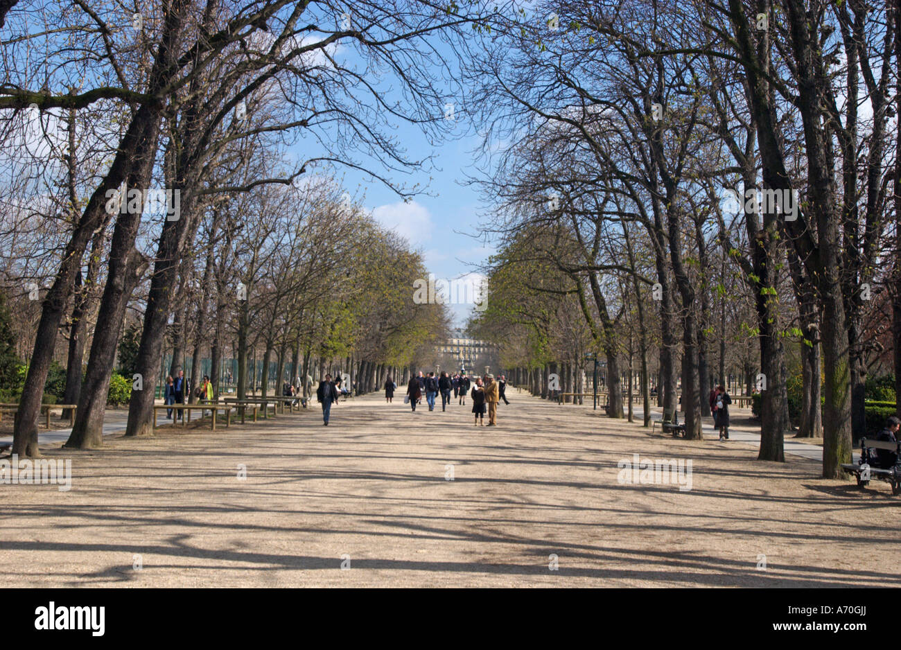 Parisiens stroll in the tree lined avenue of the Luxembourg Gardens in ...