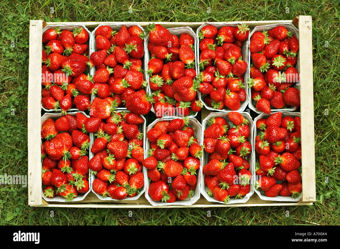 Organically grown foods hi-res stock photography and images - Alamy