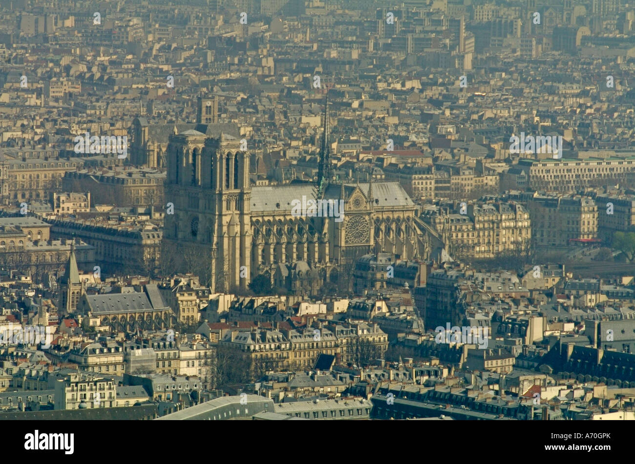 View of the Notre Dame Gothic Cathedral and the city of Paris from the ...