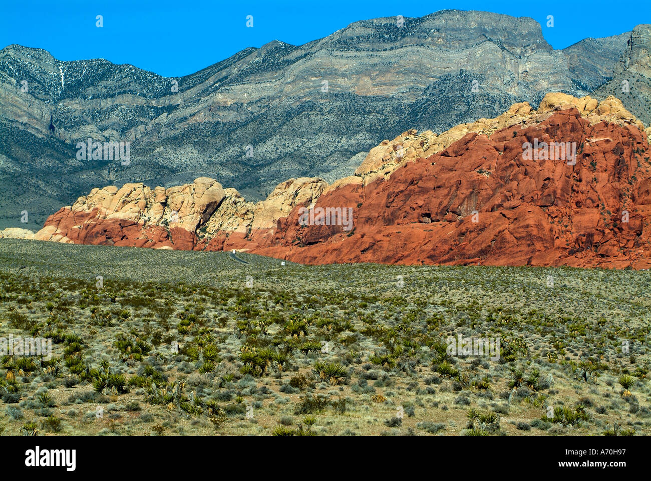 Red rock canyon in Nevada Stock Photo - Alamy