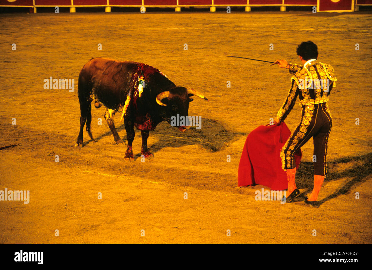 France Provence bull fight Stock Photo - Alamy