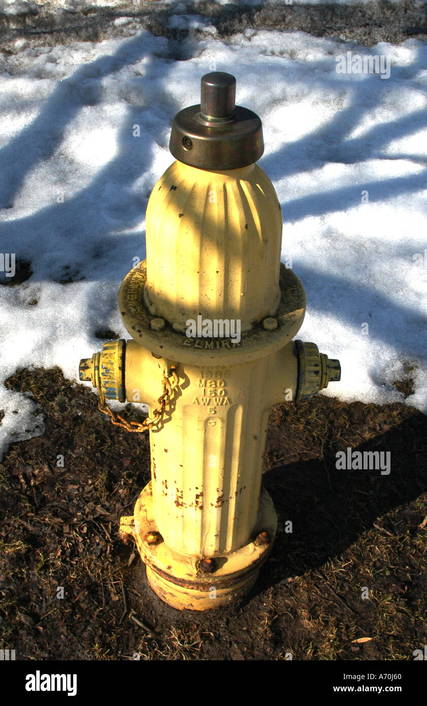 Fire Hydrant with snow in background Stock Photo - Alamy