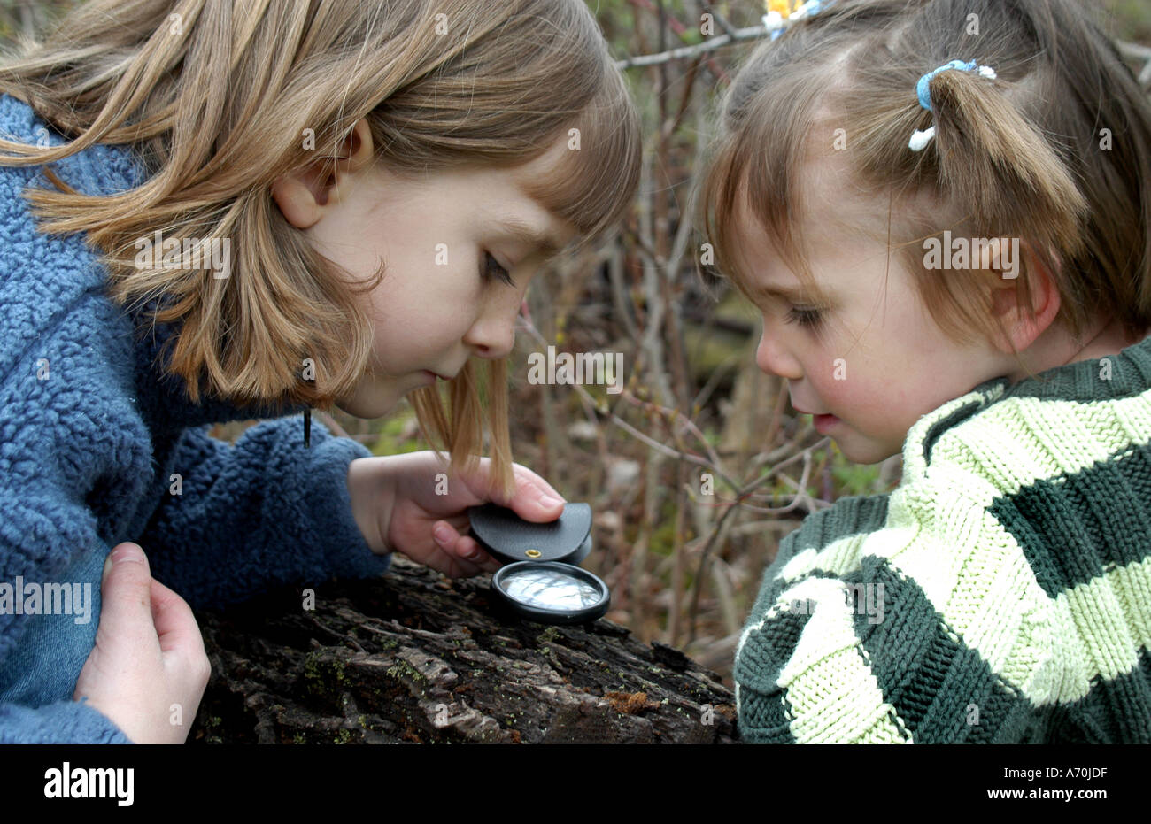 Two sisters looking at a log with a magnifying glass Stock Photo - Alamy