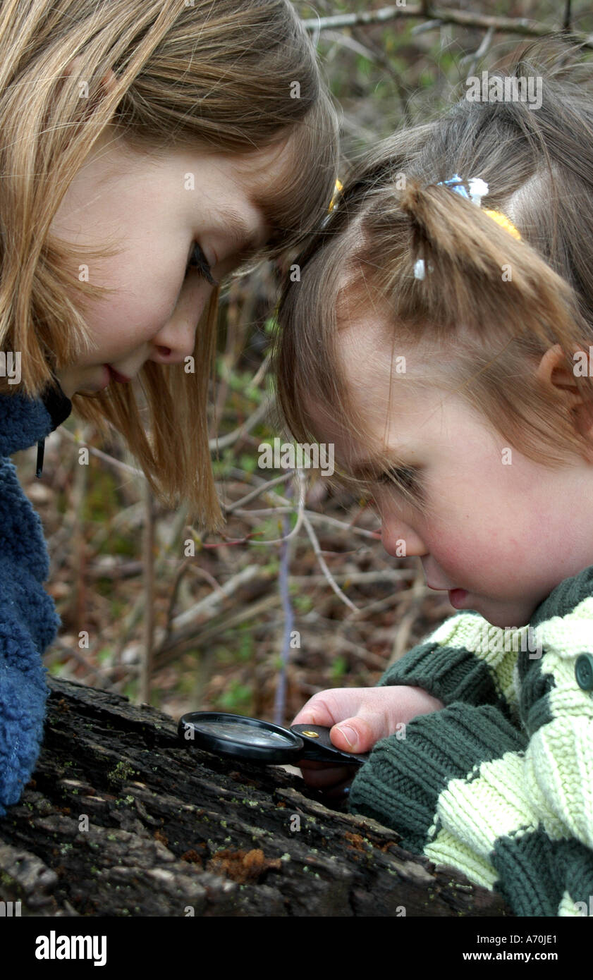 Two sisters looking at a log with a magnifying glass Stock Photo - Alamy