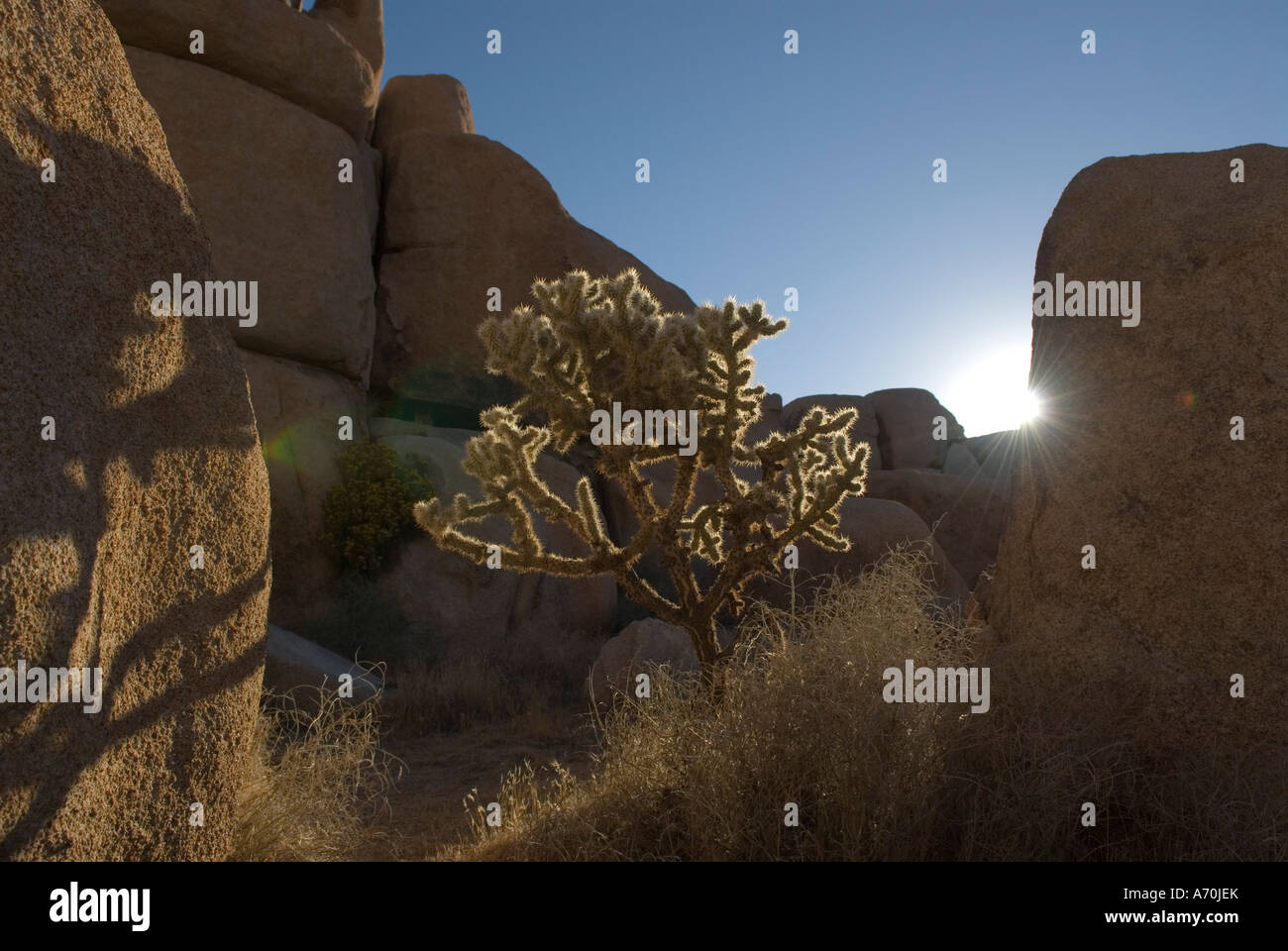 Joshua Tree National Park, Southern California Stock Photo - Alamy
