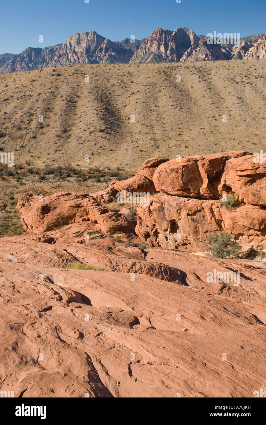 Red Rock Canyon, Nevada Stock Photo - Alamy