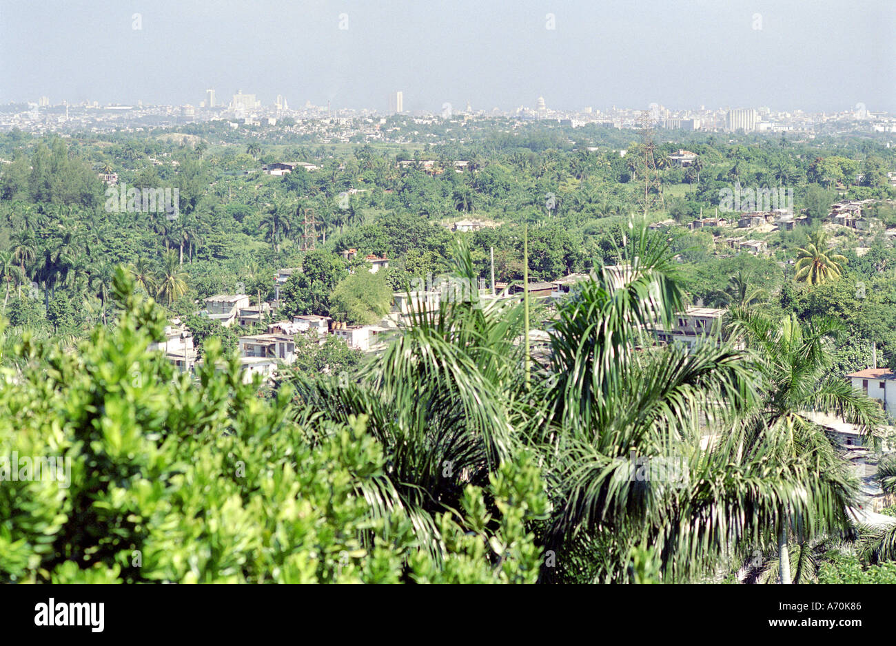 Batabano High Resolution Stock Photography and Images - Alamy