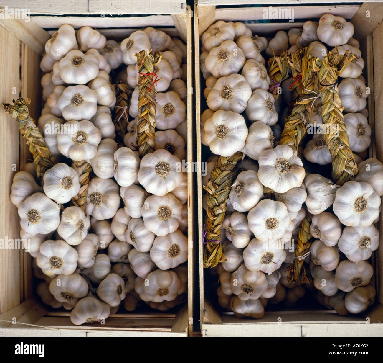 Garlic in boxes hi-res stock photography and images - Alamy