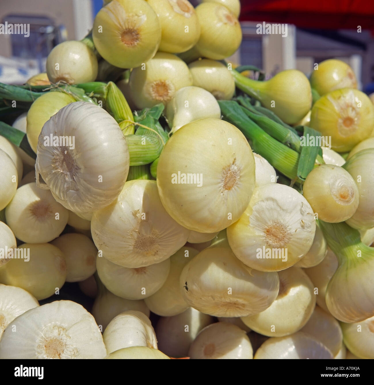 fresh new onions in a market stall Stock Photo - Alamy