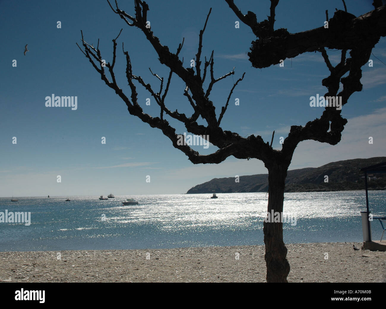Cadaques beach front on the Costa Brava Spain Stock Photo - Alamy