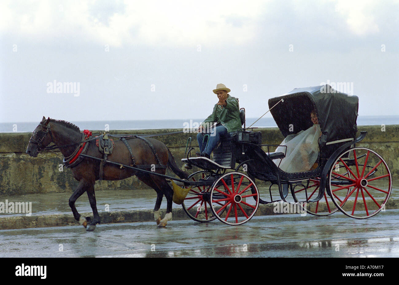 Batabano hi-res stock photography and images - Alamy