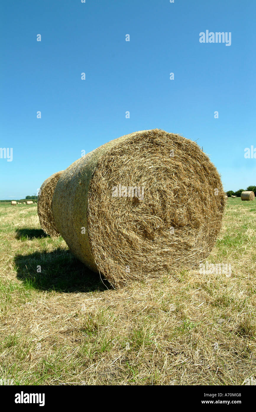 Straw wisp hi-res stock photography and images - Alamy