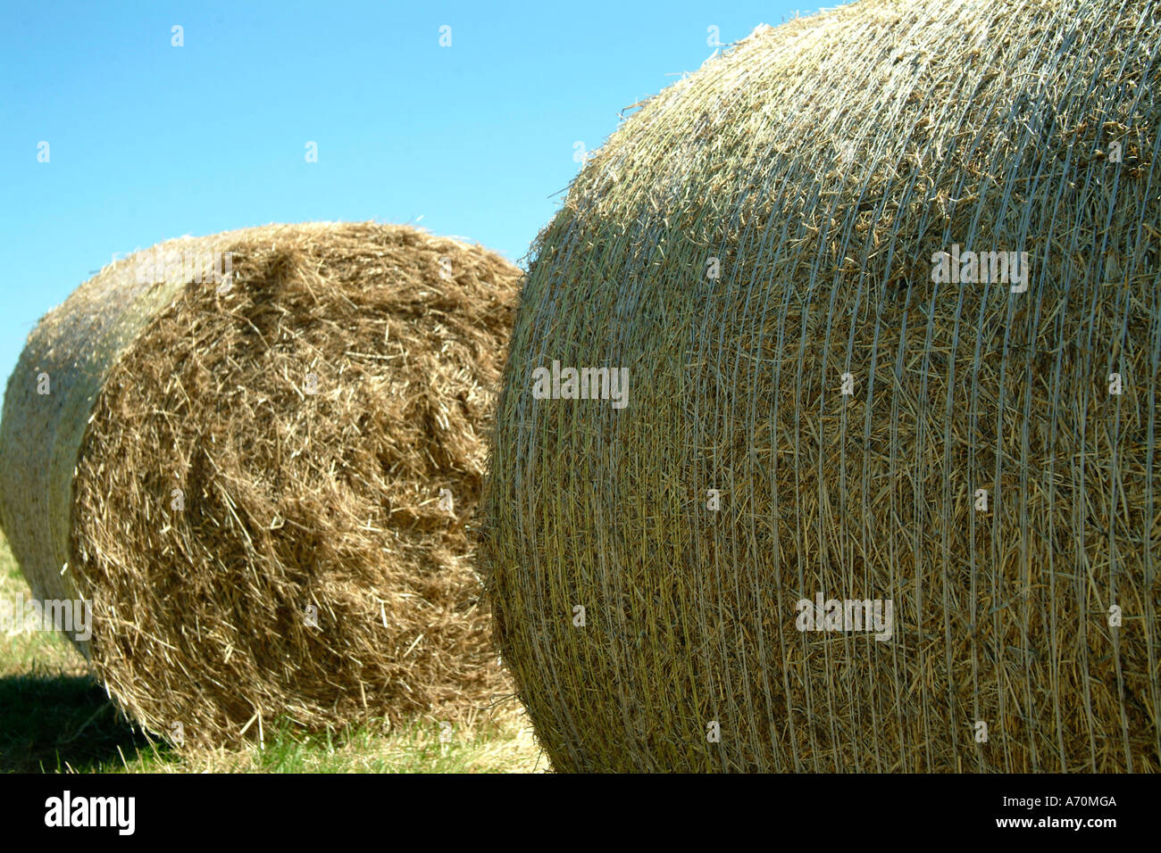 Straw wisp hi-res stock photography and images - Alamy