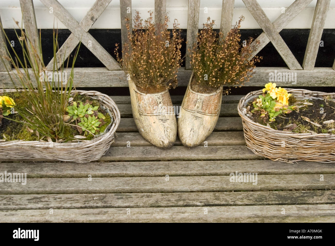 Klompen traditional Dutch wooden shoes with flowers Edam North Holland ...
