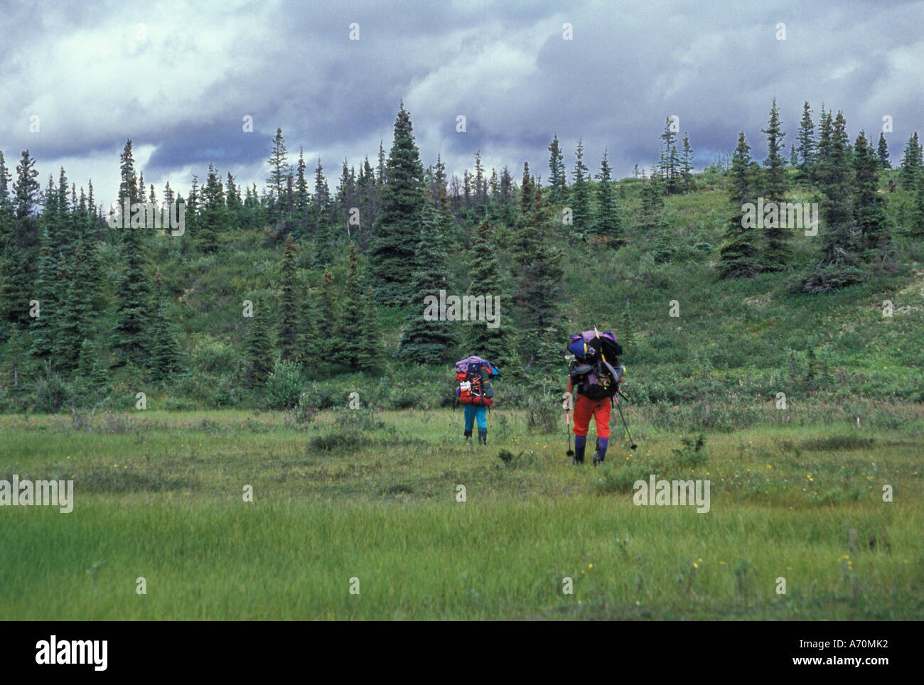 hiking in the Denali Range nordern wilderness Mt Silverthrone 4000 m ...
