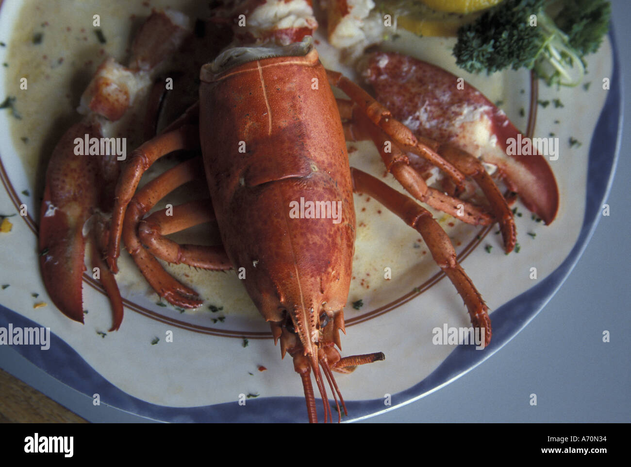 Lobster canada meal hi-res stock photography and images - Alamy