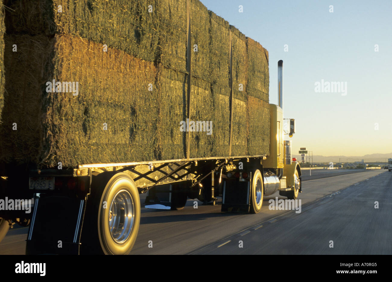 American truck on freeway, Nevada, USA Stock Photo - Alamy