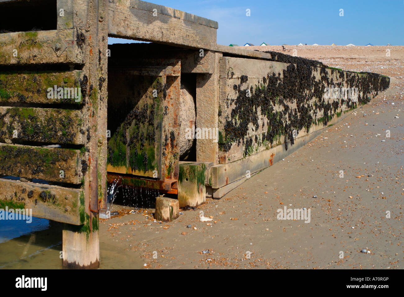 Sewage pipe outlet on Sussex beach at low tide Stock Photo - Alamy