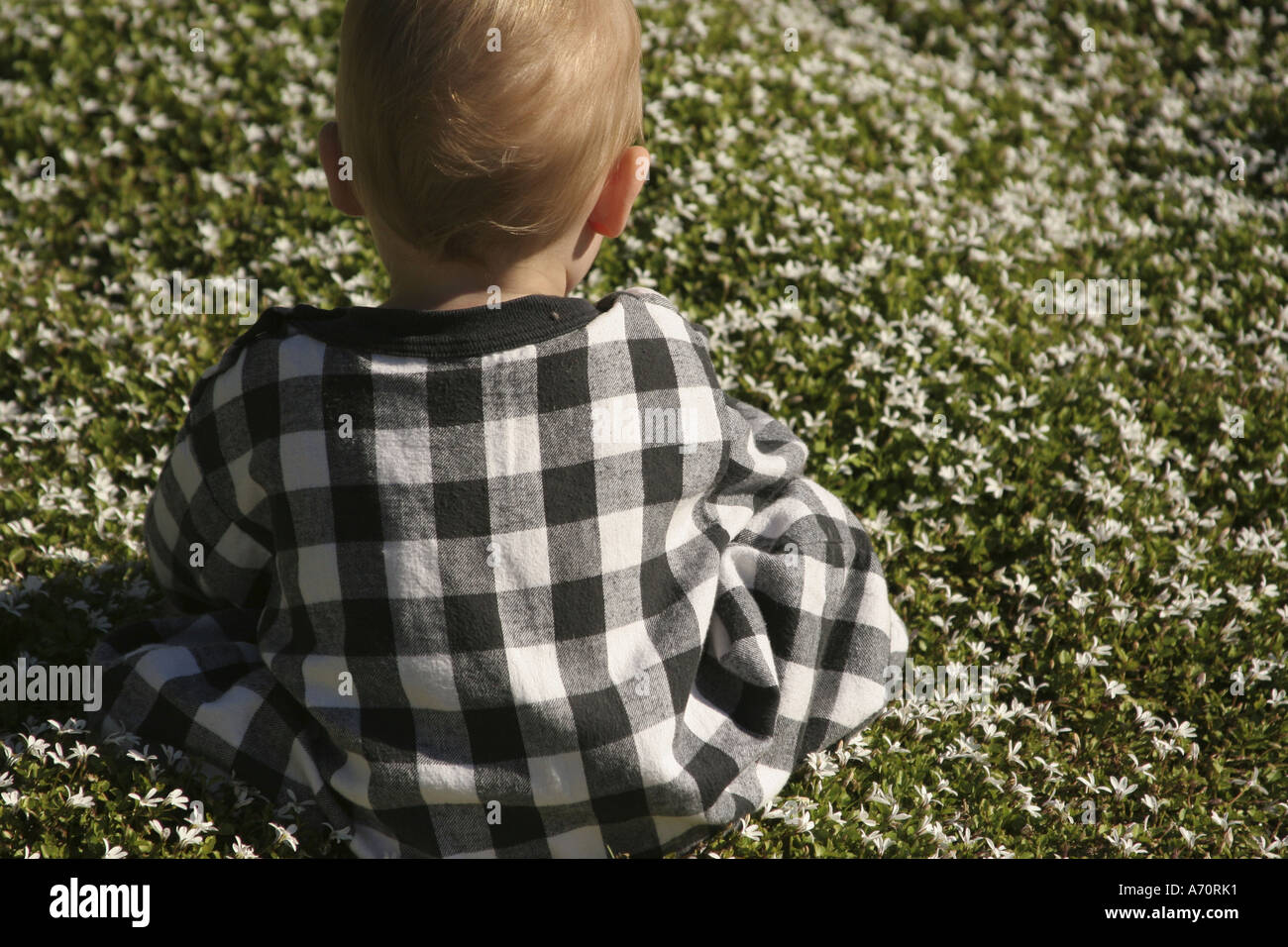 The rear view of a blond male child wearing a black and white checkered ...