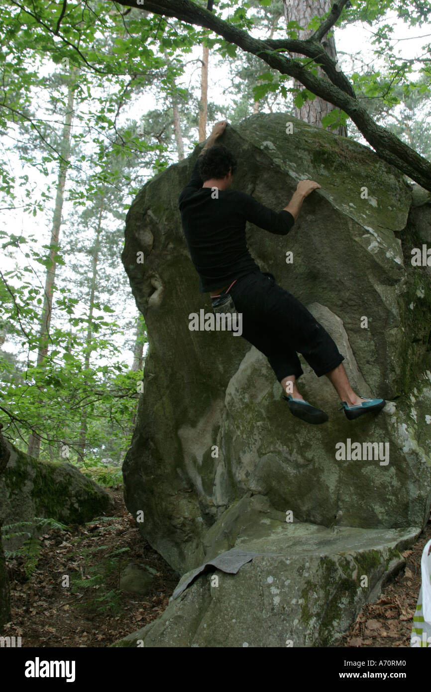 Fontainebleau boulders hi-res stock photography and images - Alamy