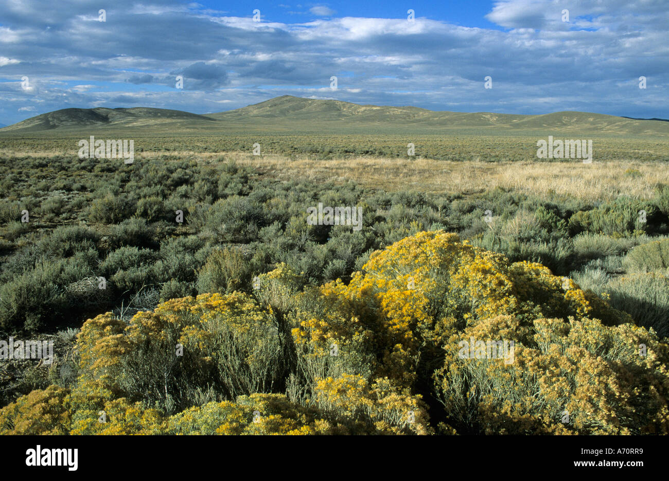 Steptoe valley hi-res stock photography and images - Alamy
