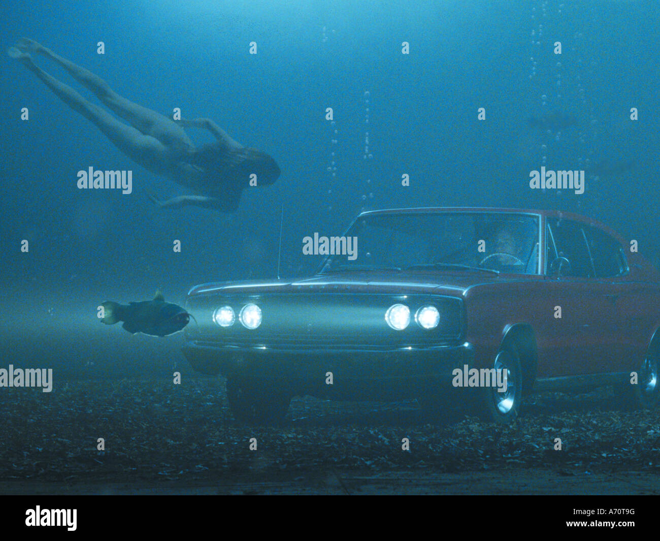 Sfondo Del Film Big Fish Big Fish | Film No. 39