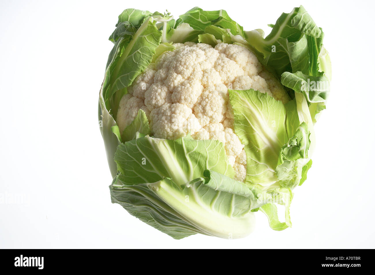 THE ORGANIC FRESH VEGETABLECauliflower Stock Photo - Alamy